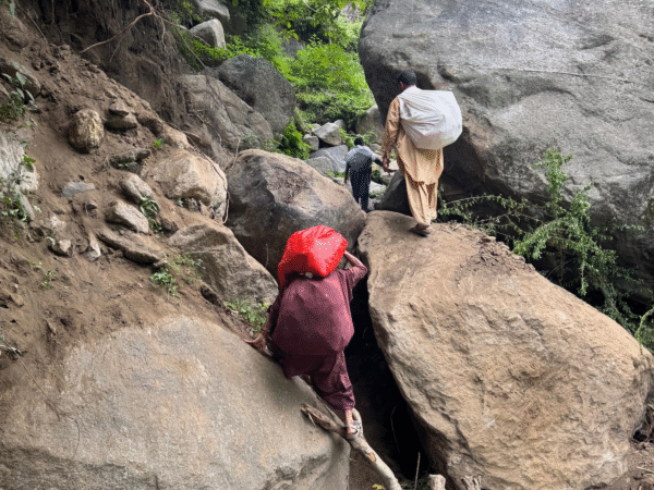 Home - HealthNet TPO